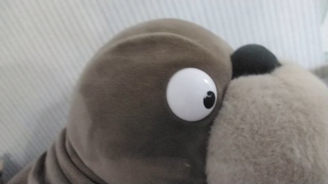 Морж задумался