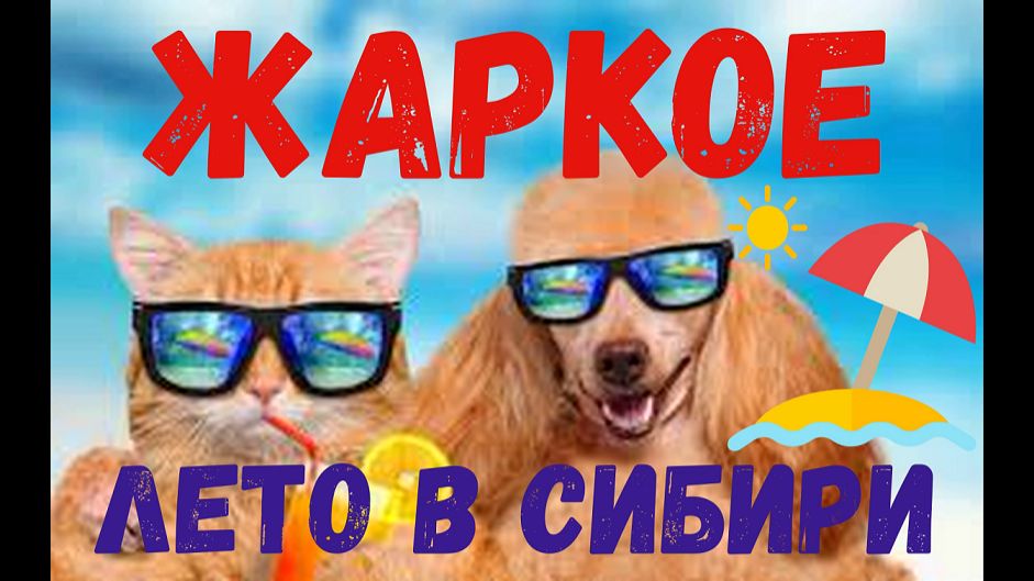 Как отдыхают суровые охотники и рыбаки летом)))