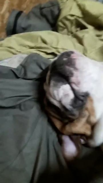 Пора вставать