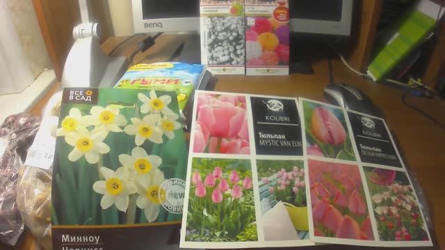 Обзор покупочек к огородному сезону// тюльпаны//лук//нарциссы.
