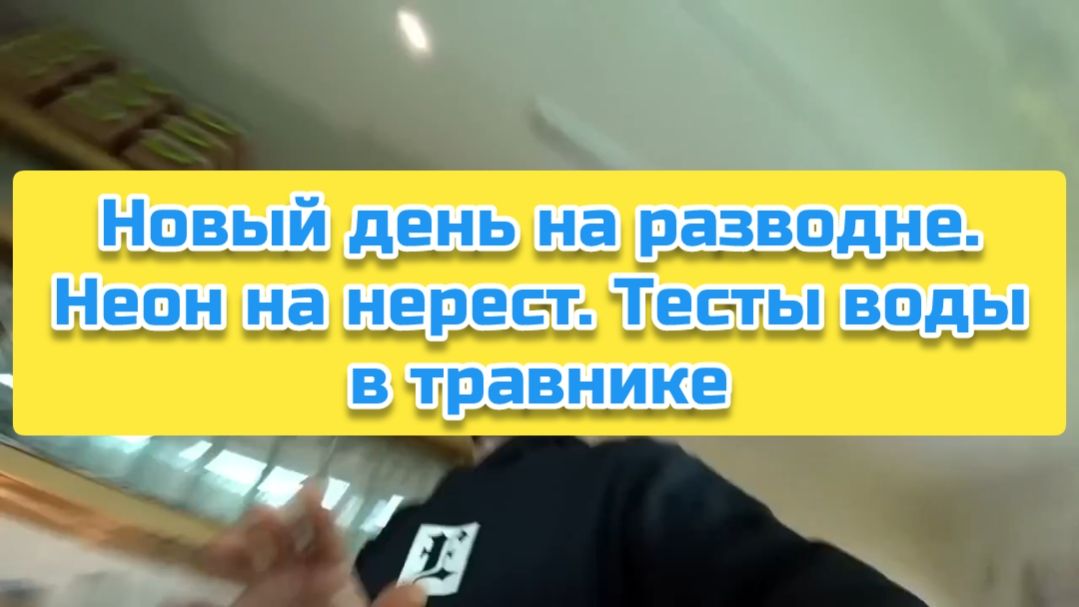 Новый день на разводне. Неон на нерест. Тесты воды в травнике