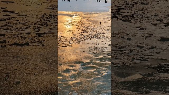 Ледовый поход по Фонтанке, 07.02.26