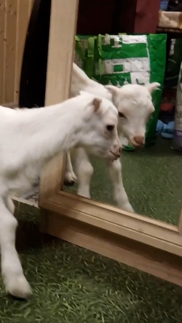 Кто этот милый парень?