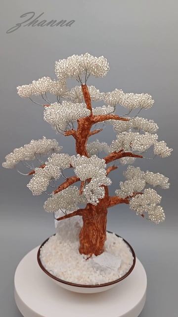 Настольные деревья. Мини садик. https://t.me/minigardenZ