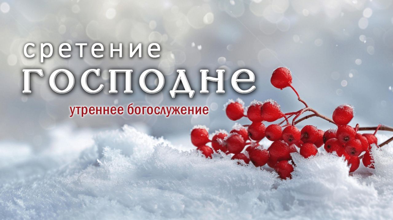 15 февраля 2026 10-00