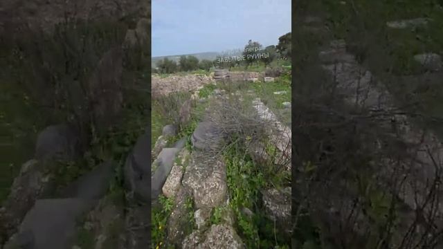 Базальтовое сердце руин Гадары на иорданско-израильской границе