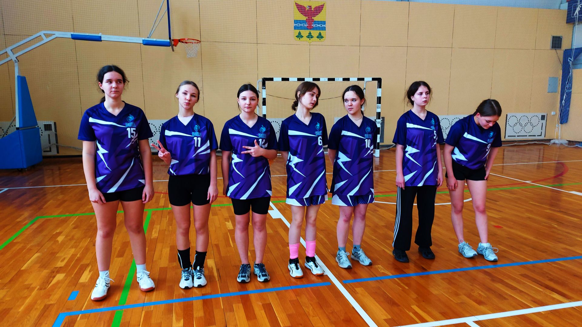 Волейбол (девушки) РОДНИКИ-МАЛИНО