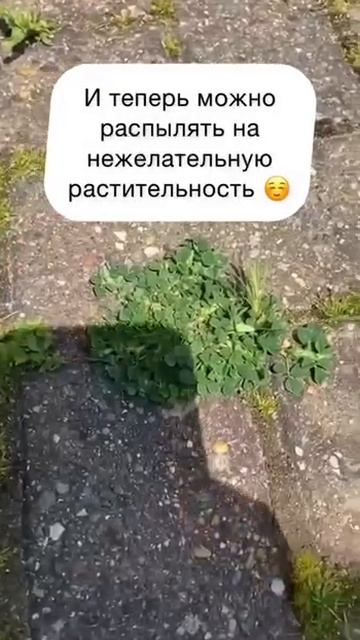 удаление травы