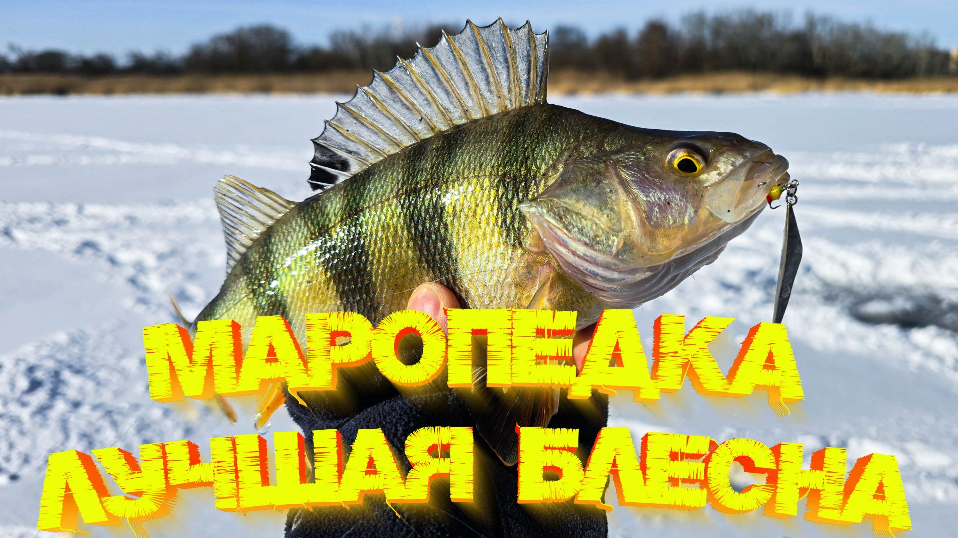 Ловил на VIB, а доловил БЛЕСНОЙ 👍 МАРОПЕДКА ловит ВСЕГДА 💪💪💪