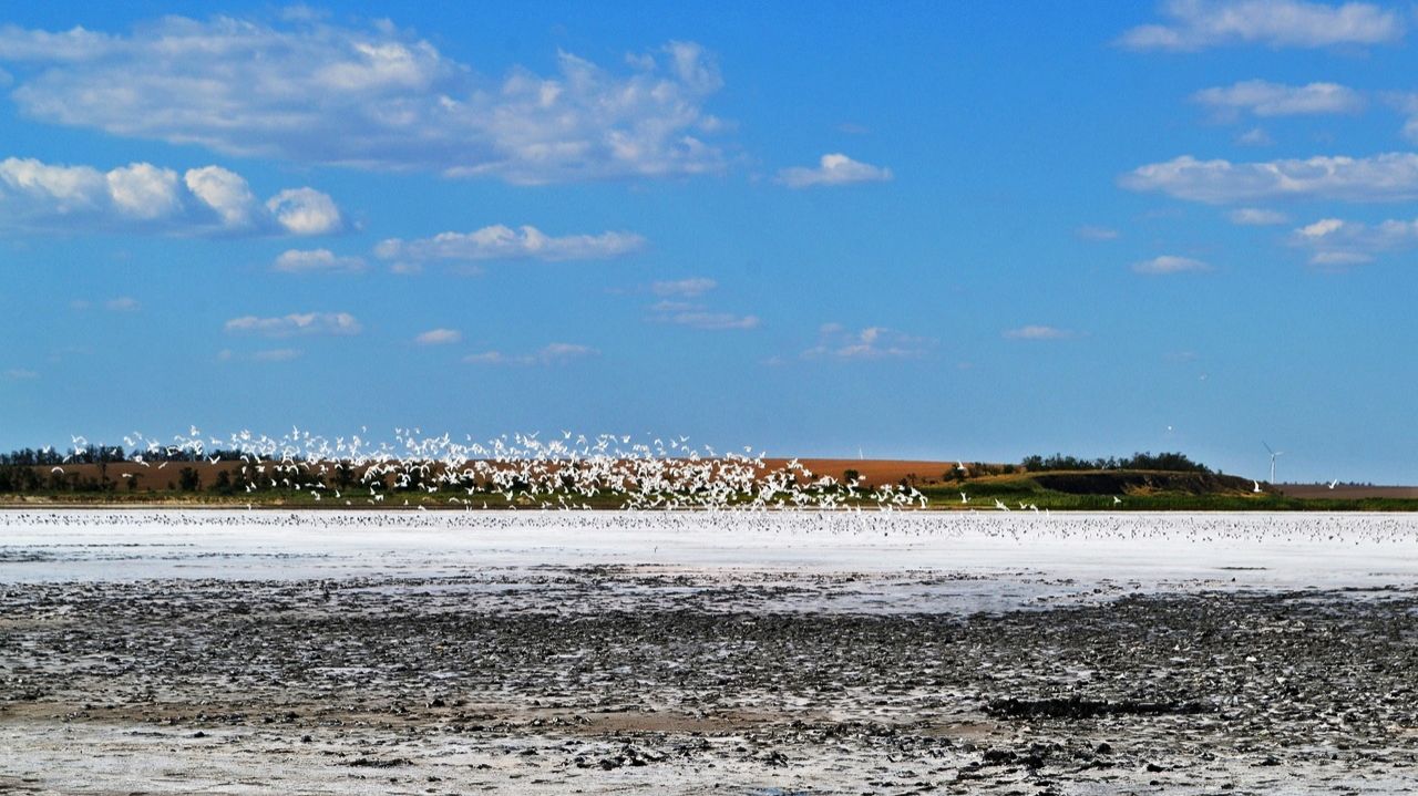 Соленое озеро "Тузлы".