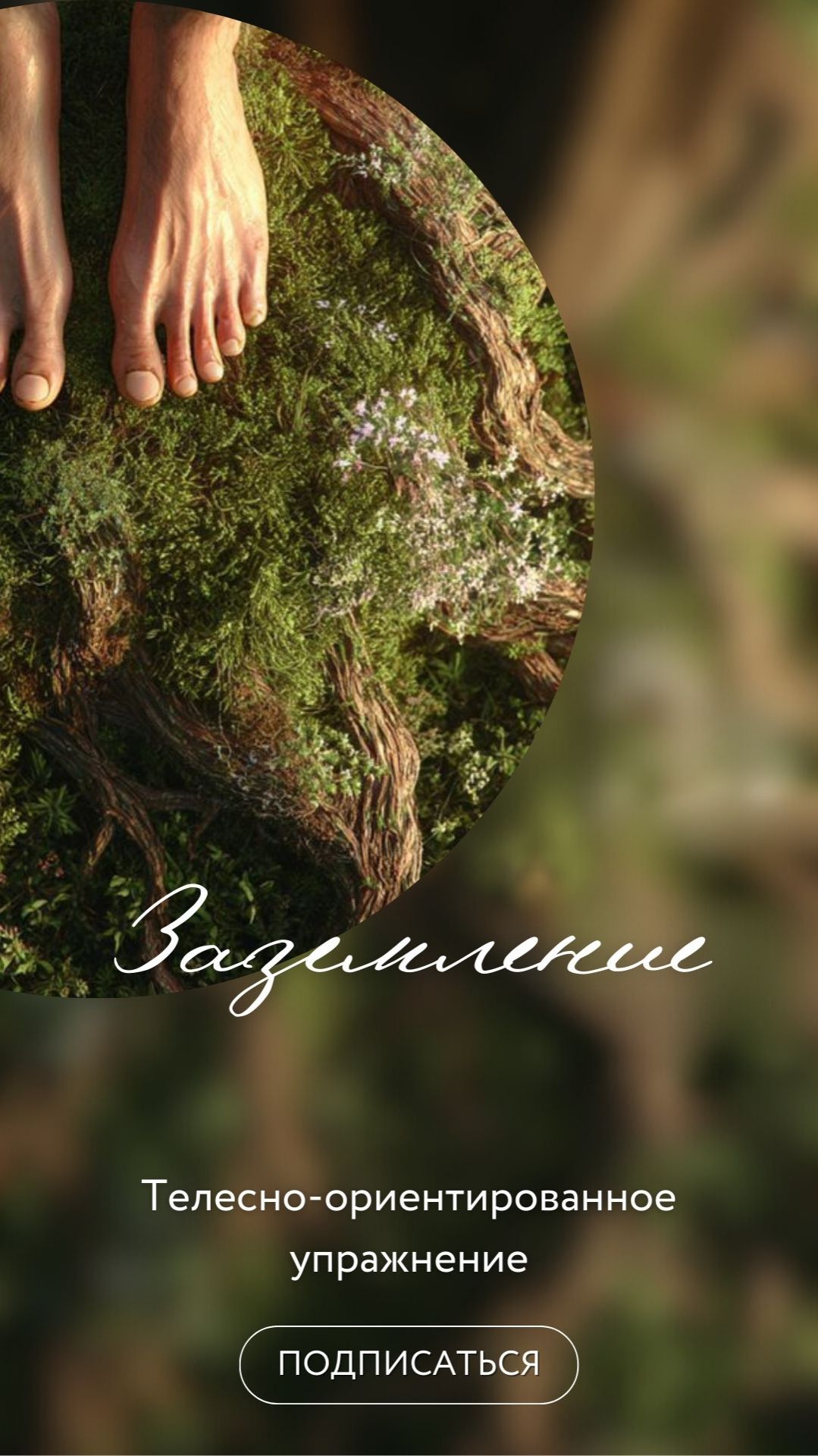 Телесно-ориентированное упражнение «Магнит»