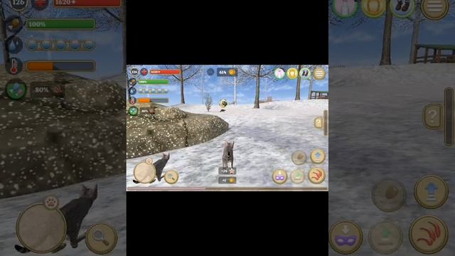 Играю в симулятор кошки за Египетскую Мау + собрал все клубки