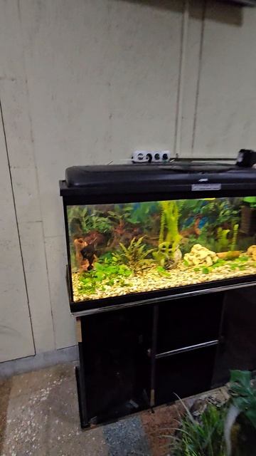 Санаторий"Приднепровский", второй корпус