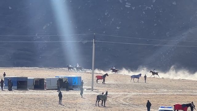 Скачки 1-я партия  лошадей на 2 круга