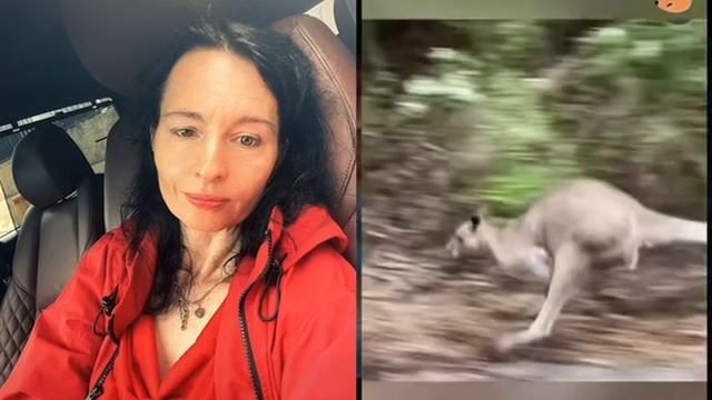 Встречи с Кенгуру бывают разные! Это Австралия 🇦🇺