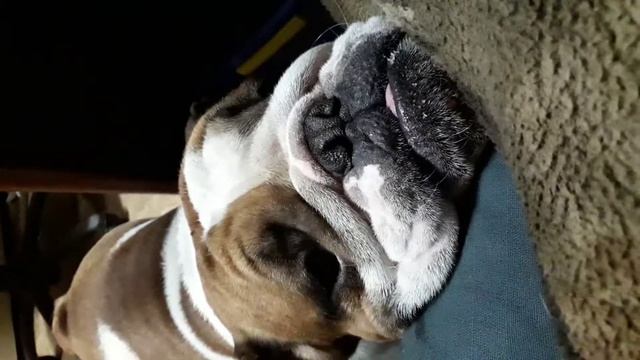 чем недоволен