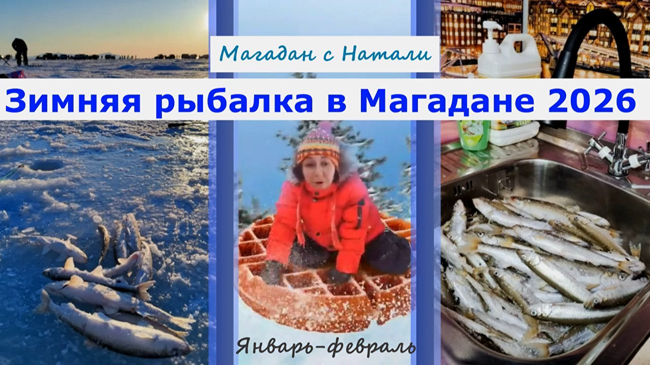 Зимняя рыбалка в Магадане 20266. Корюшка, навага, крабы. Магадан с Натали. Лисы тоже рыбачат.