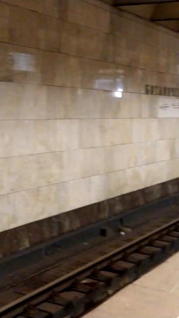 Ст. метро Ботанический сад, Москва, Оранжевая (Калужско-Рижская) Линия Фрагмент 1