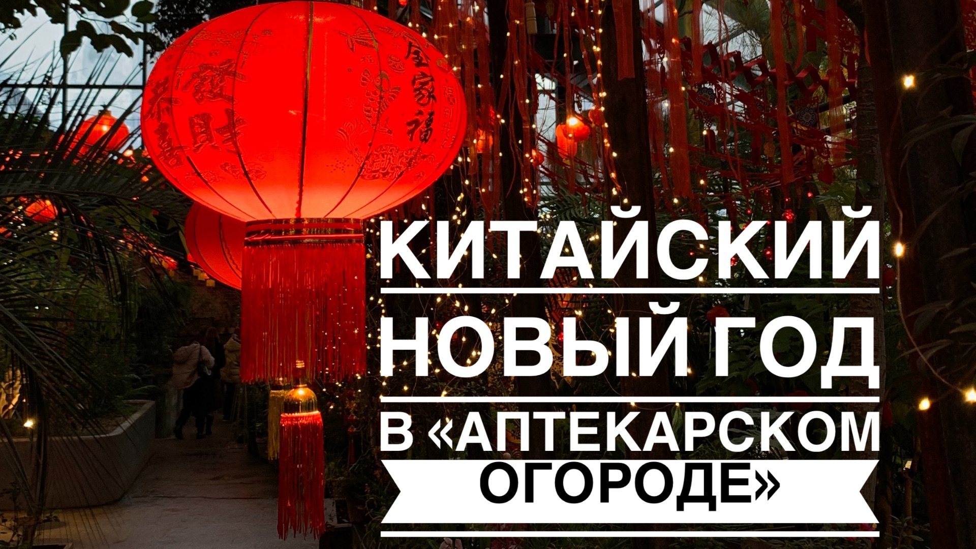 Китайский Новый год в «Аптекарском огороде»