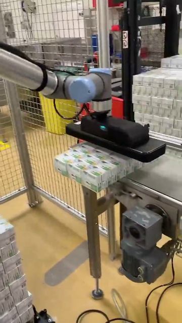 UR - FRoSTA - паллетизация упаковок с луком