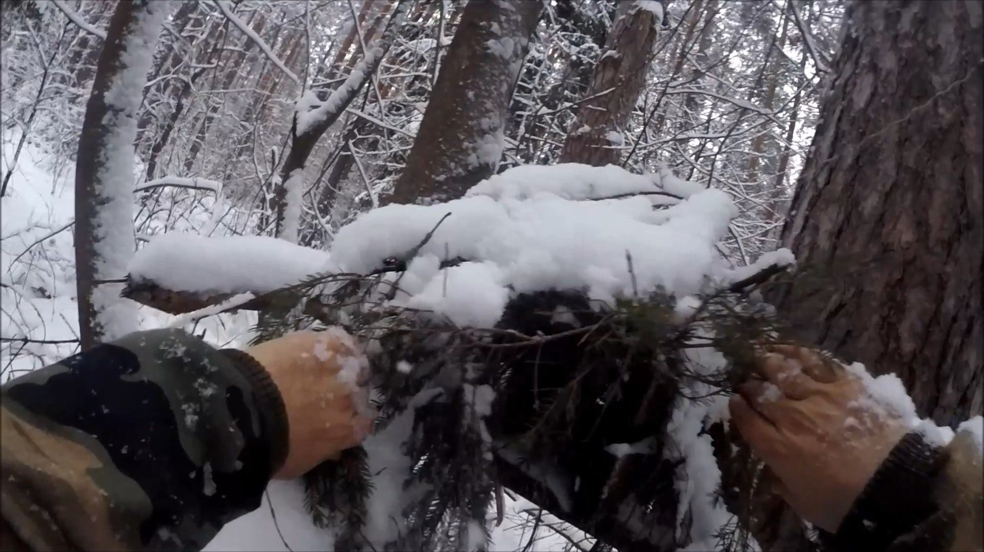 Охота на куницу. Путик, который в этом сезоне не ловит(Будни охотника и рыбака)