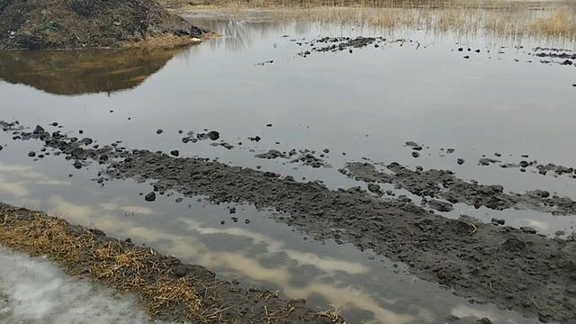 «Погода 15 февраля 2026 года: последствия подтопления огорода»