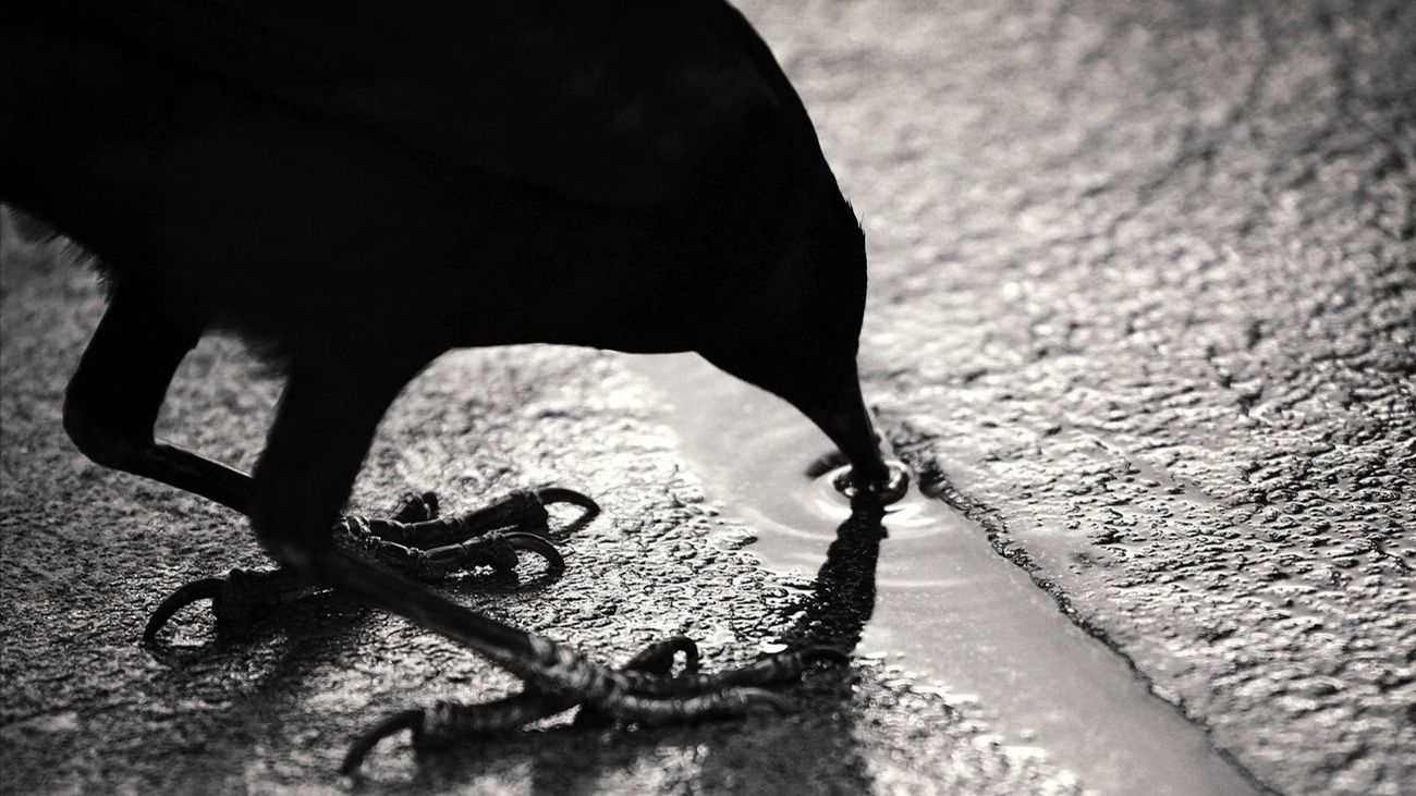 Странность