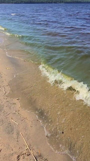 Карелия 2025. Челмужская коса. Онежское озеро. Июль 2025г (Часть 20)