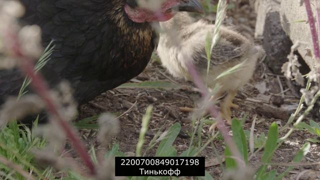 По быстрому