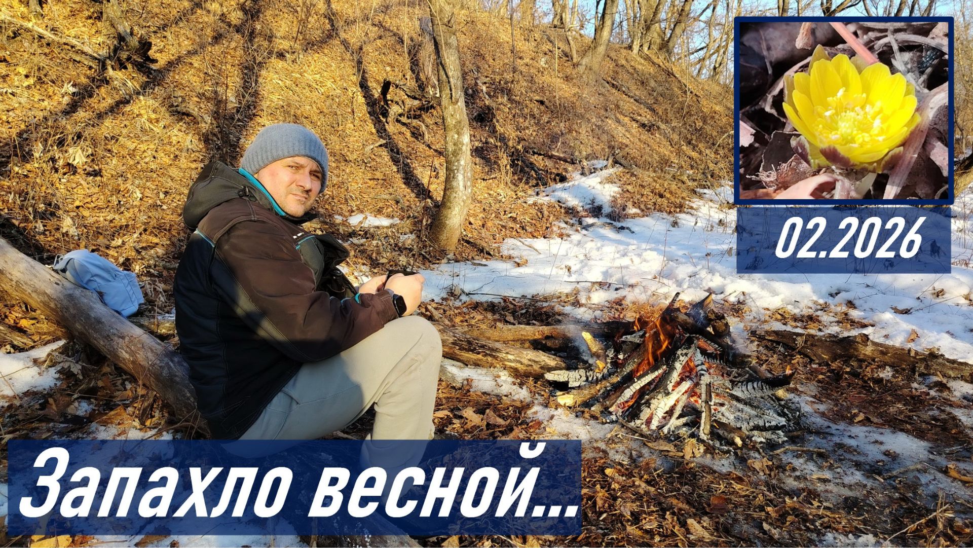 Поход в лес на о. Русский в середине февраля 2026 г., идём снимать фотоловушки