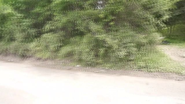 База катеров