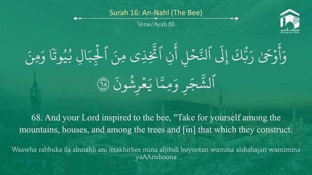 16.Surah "An-Nahl"