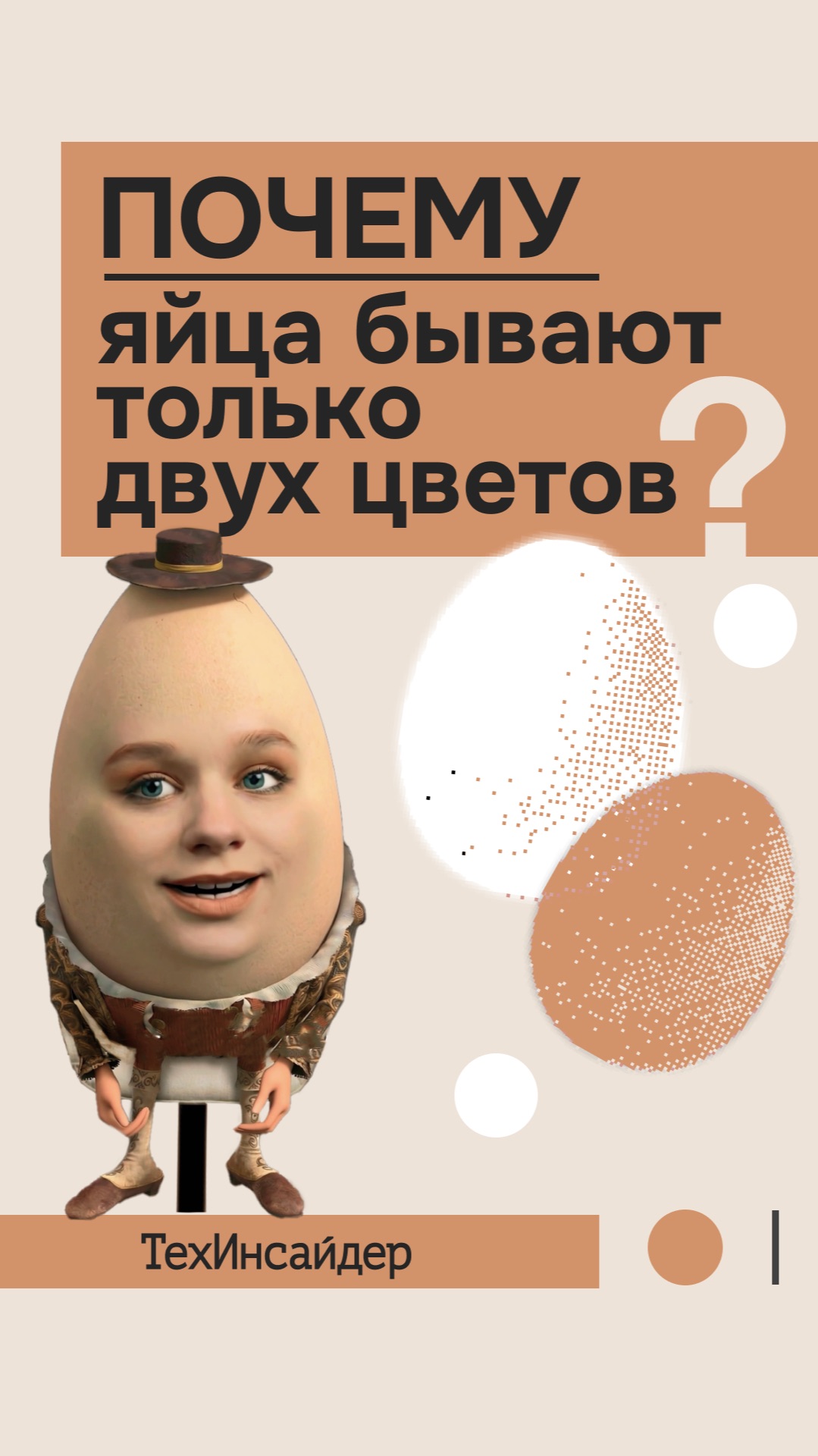 От чего зависит цвет куриных яиц?
