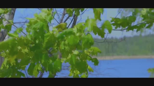 Александр Иллюзов - Неповторимая (Single) (2026)