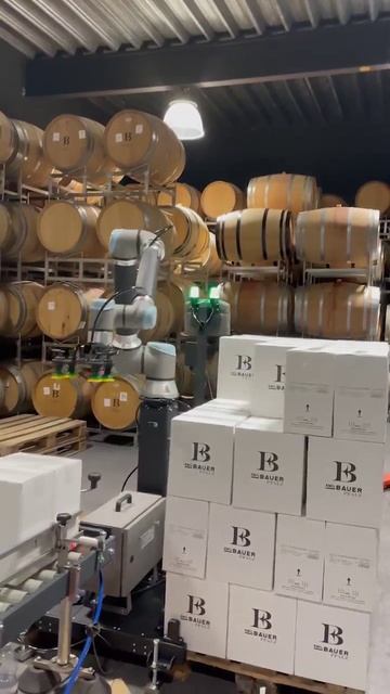 UR - паллетизация - вино Emil Bauer