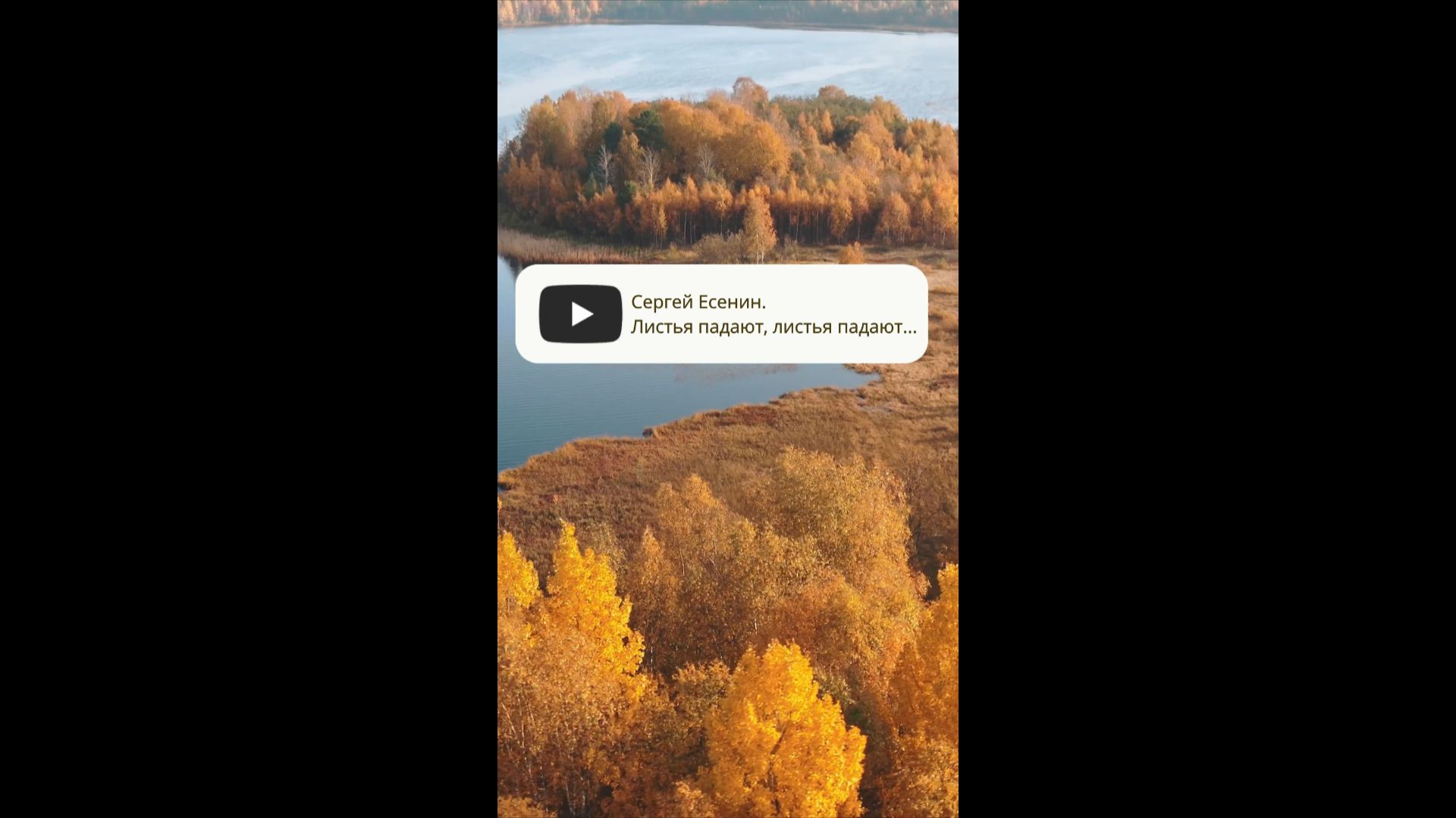 Листья падают. Листья падают... Стихи Сергея Есенина. Музыкальный и видеоряд Ярослав Кардашов