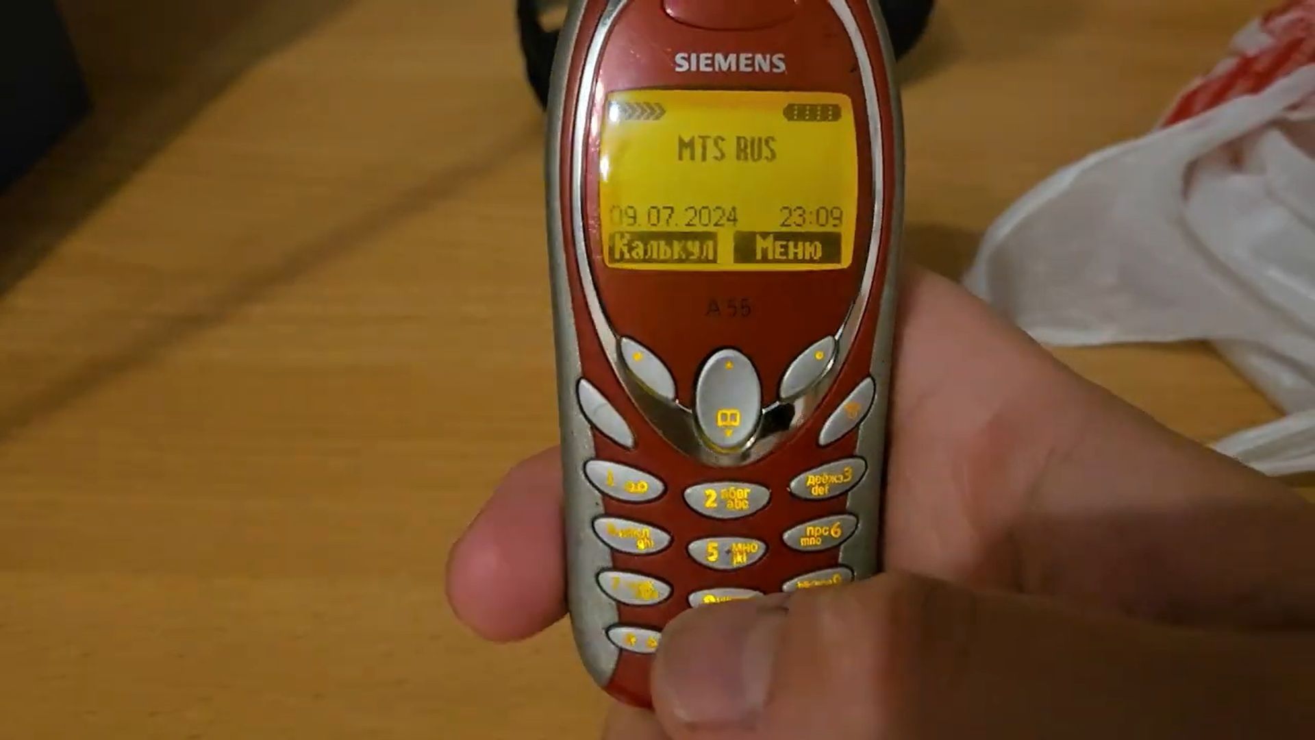 Siemens A55 (2003) в 2024 году