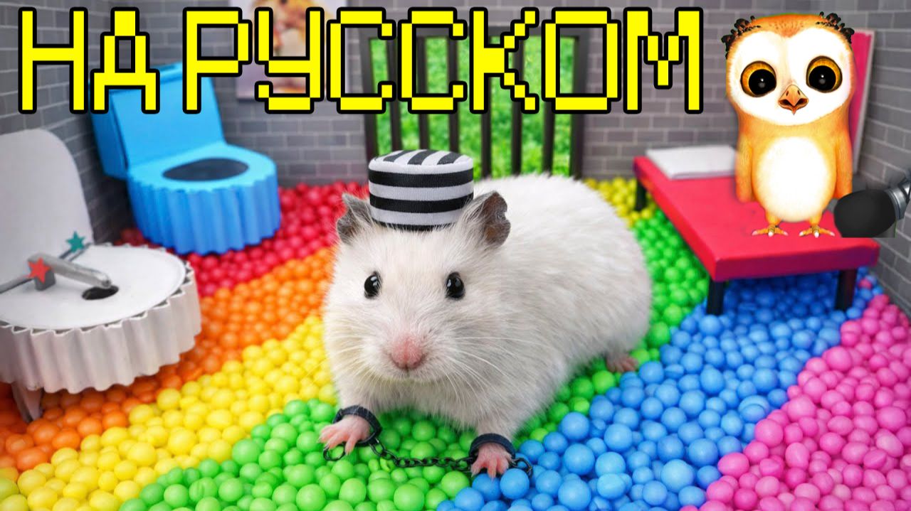 ПОБЕГ ХОМЯЧКА ИЗ РАЗНОЦВЕТНОЙ ЛОВУШКИ МУЛЬТИКИ ДЛЯ ДЕТЕЙ ПРО ХОМЯКА
