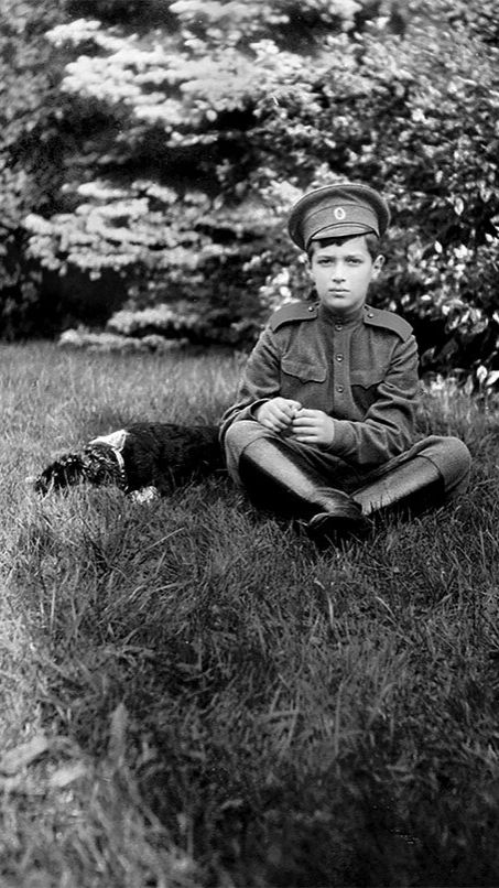 Спаниель Цесаревича Алексея - Джой. Что с ним стало? #Романовы #наследник #царскаясемья #история