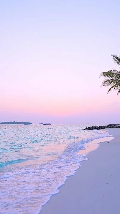 KISS ME - $ PURPLE DESIRE $ - ОПТИМИСТИЧНАЯ