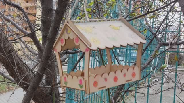 Шуточное стихотворение "Синицы"