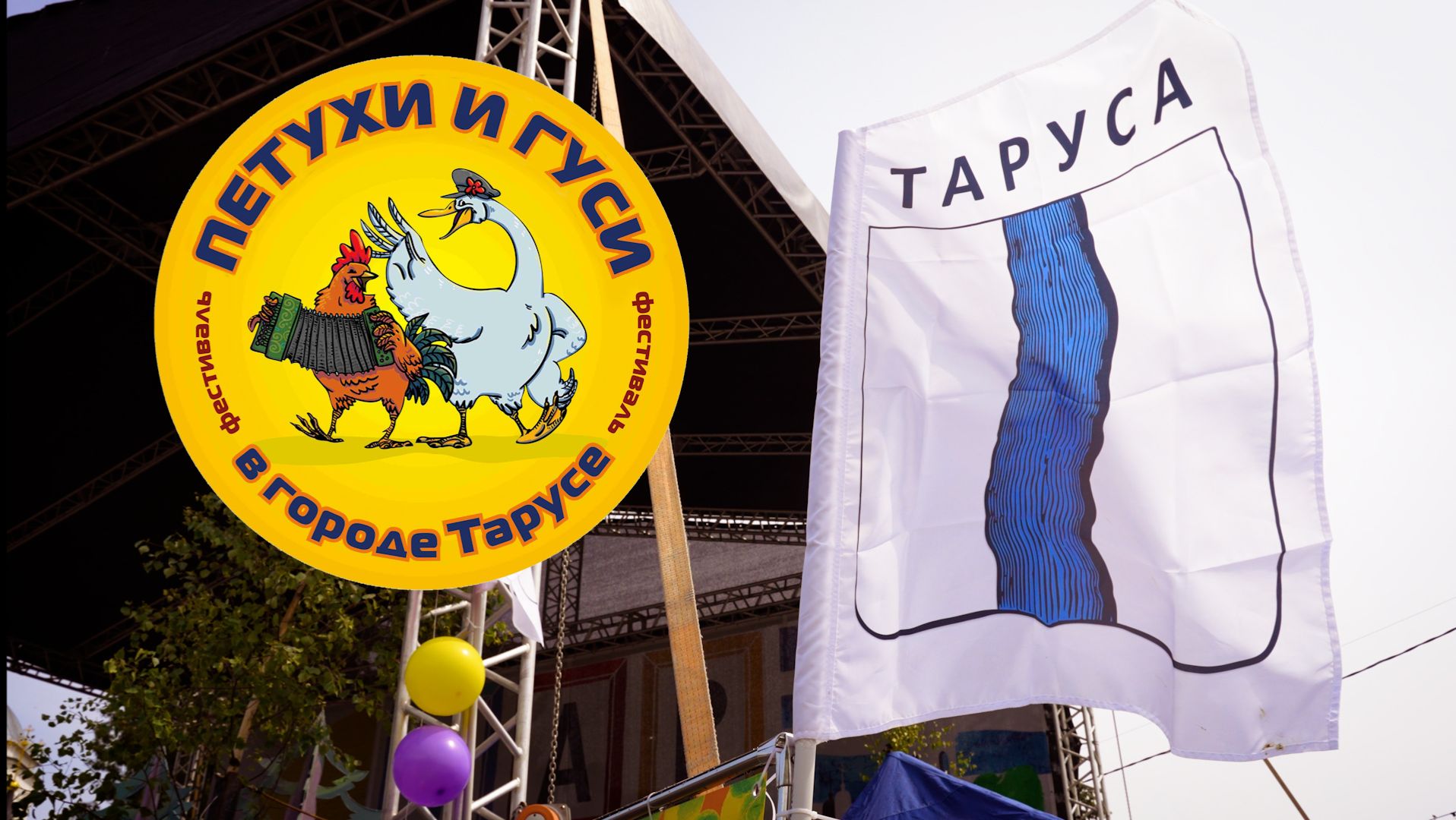 Петухи да гуси в городе Таруса