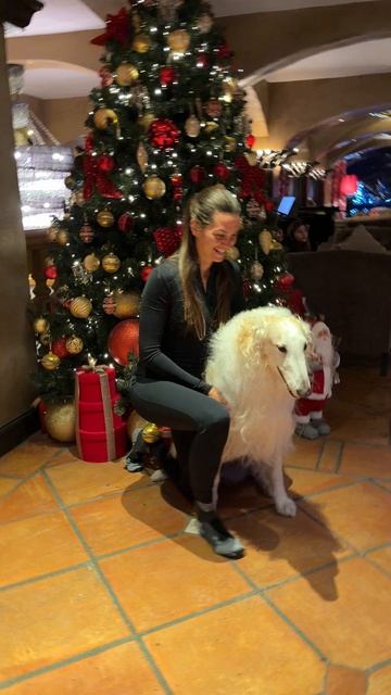 Новый год в Куршавель!