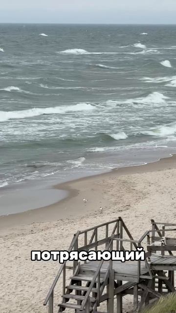 Калининградская область, Россия 🇷🇺