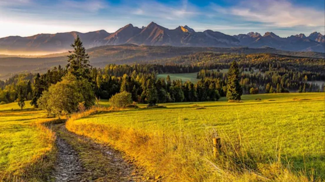 Шуман Р. Концерты / Robert Schumann