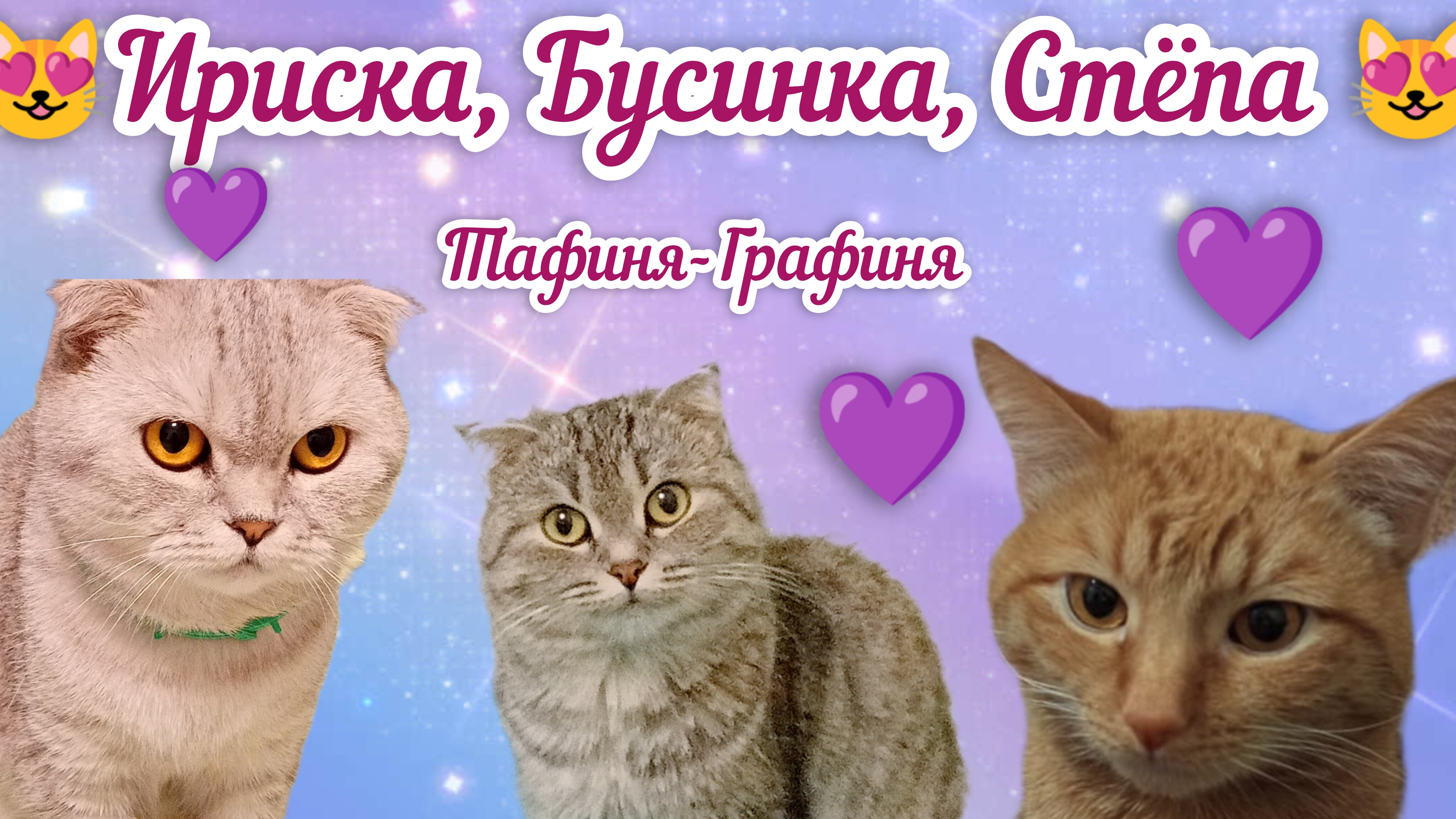😻Бусинка, Ириска, Стёпа😻
