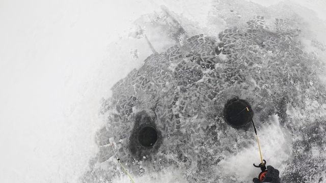 Сестрорецк. 18.01.26.