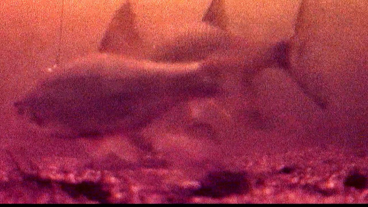 Рыбалка на оз.Зелёное. Подводный мир.