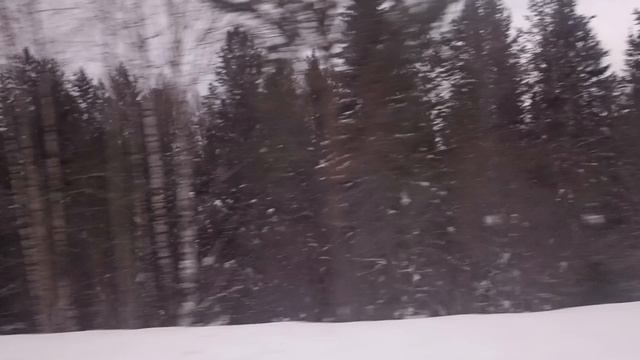 Гора Белая. По дороге на гору