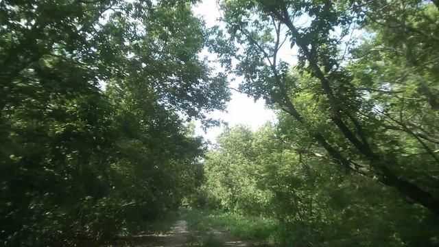 Посёлок Чистопольский, Краснопартизанский район.